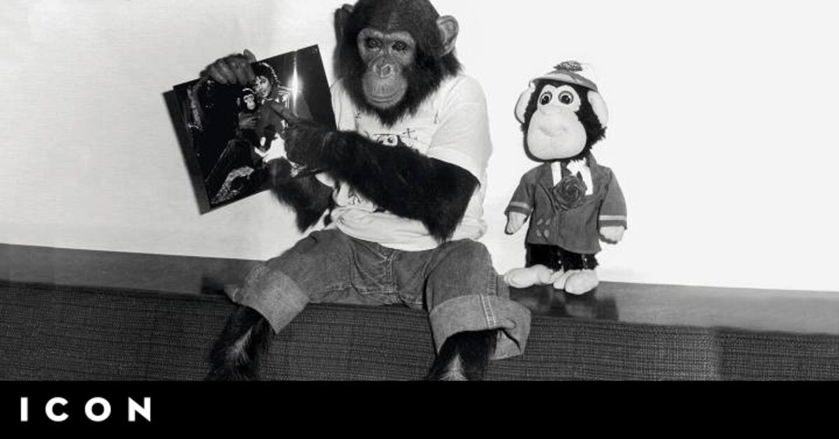 De King Kong a Bubbles: una breve historia del mono en la cultura pop ...