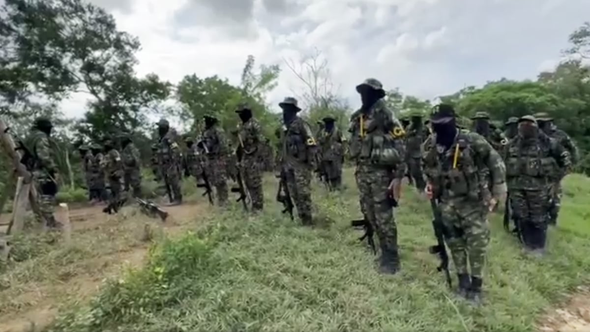 Las Autodefensas Conquistadoras de la Sierra Nevada suspenden los ...