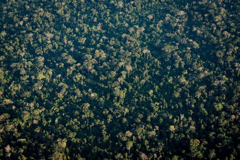 More than 10,000 pre-Columbian archaeological sites remain unexplored ...