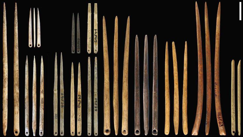 How eyed sewing needles facilitated the expansion of early ‘Homo ...