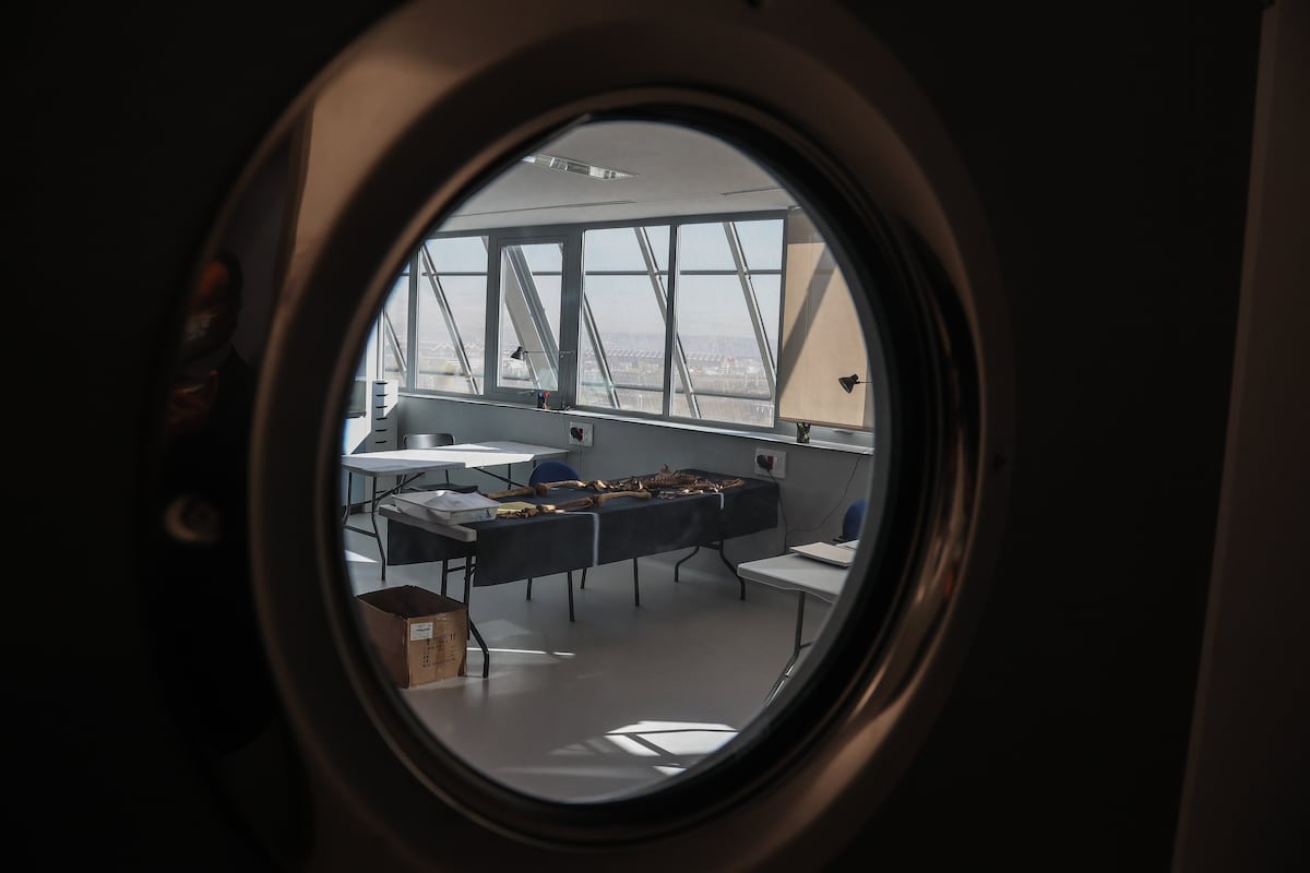 Rey del Cachopo: Heidi Paz, un cadáver que espera su entierro desde ...