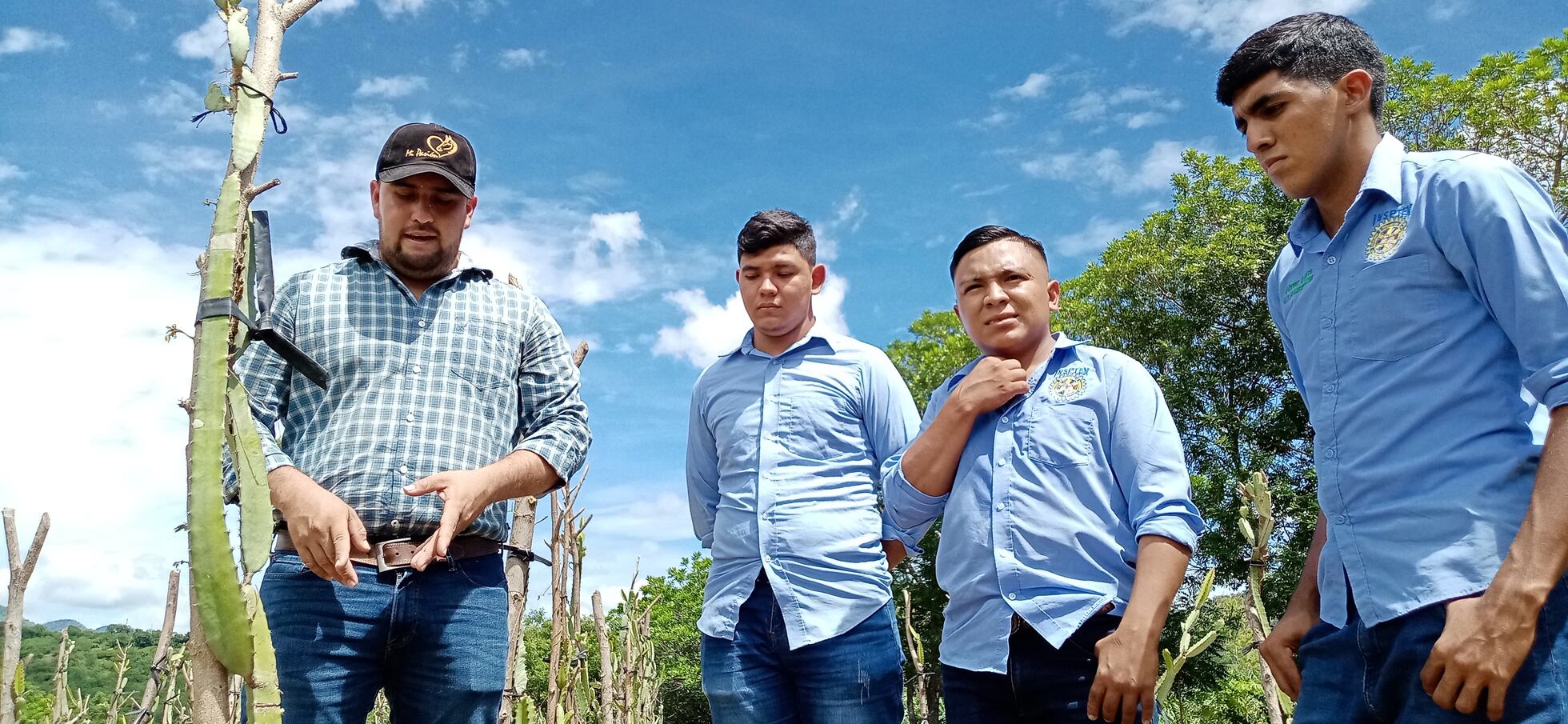 Pitaya o ajonjolí: el Corredor Seco hondureño, laboratorio de ...