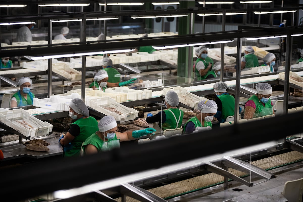 Anuario 47 CincoDías: Se buscan jóvenes para trabajar en la industria ...