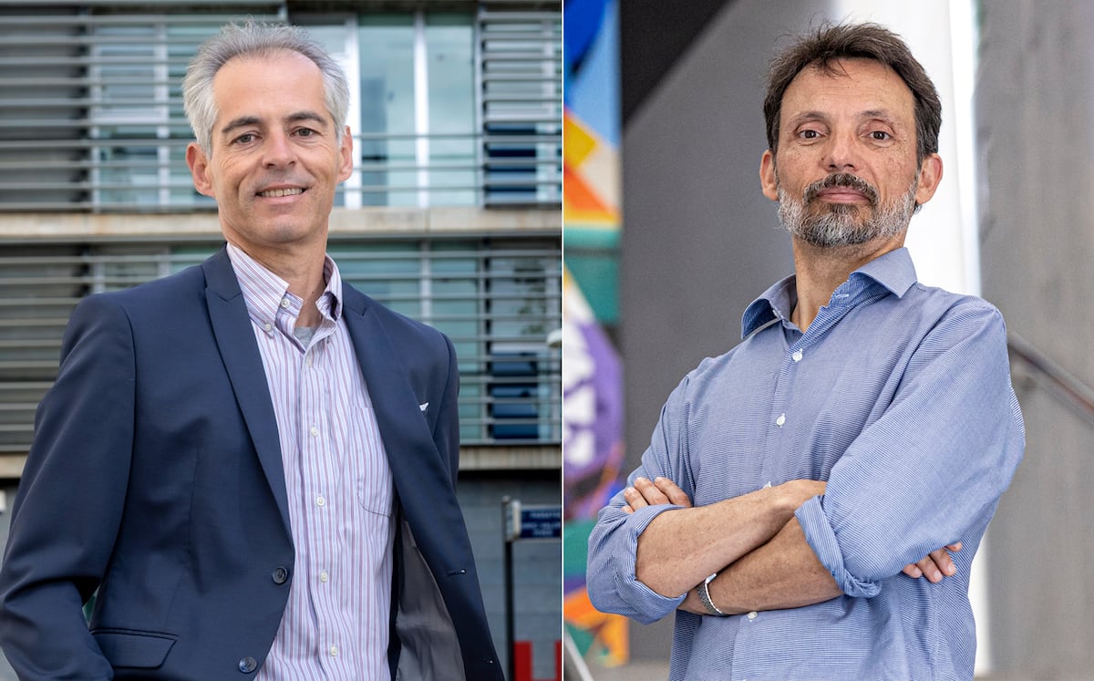 “El sistema falla donde menos te lo esperas”. Así evaluaron GPT-4 estos dos españoles por ...