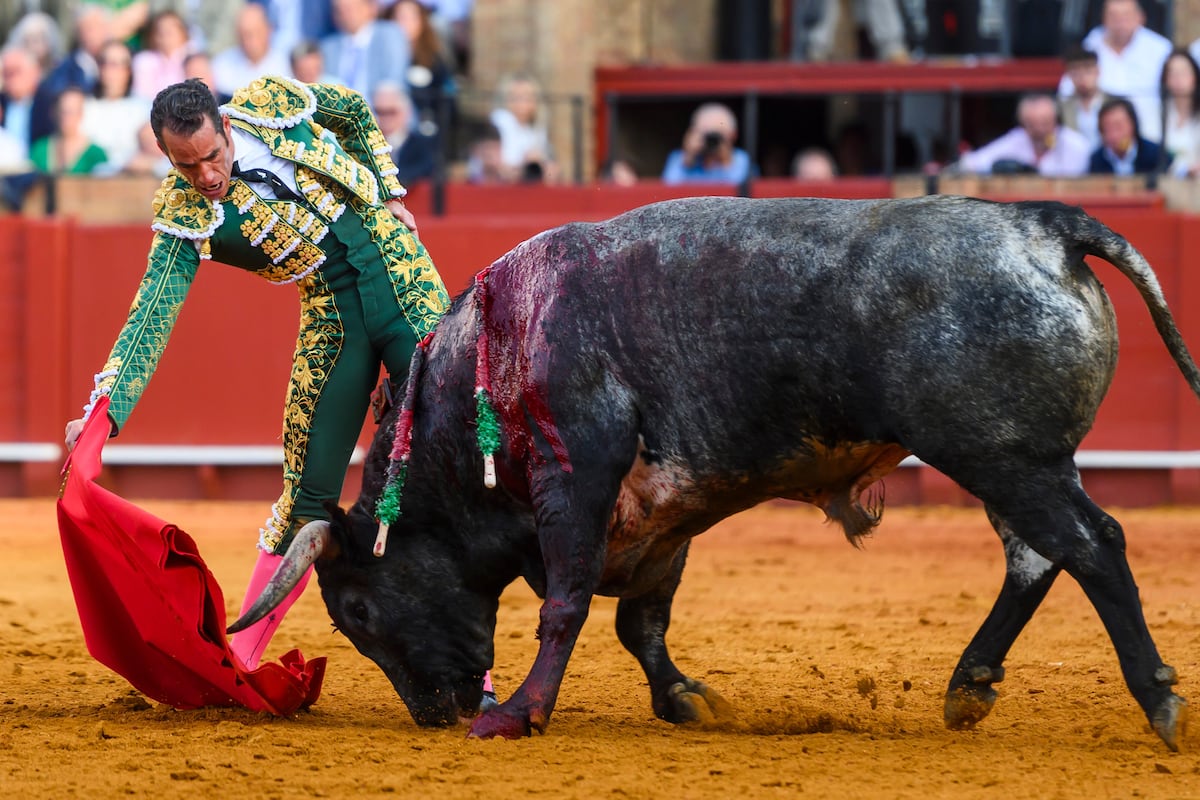El toro, por los cuernos: Pepe Moral, torero: el miedo al olvido ...