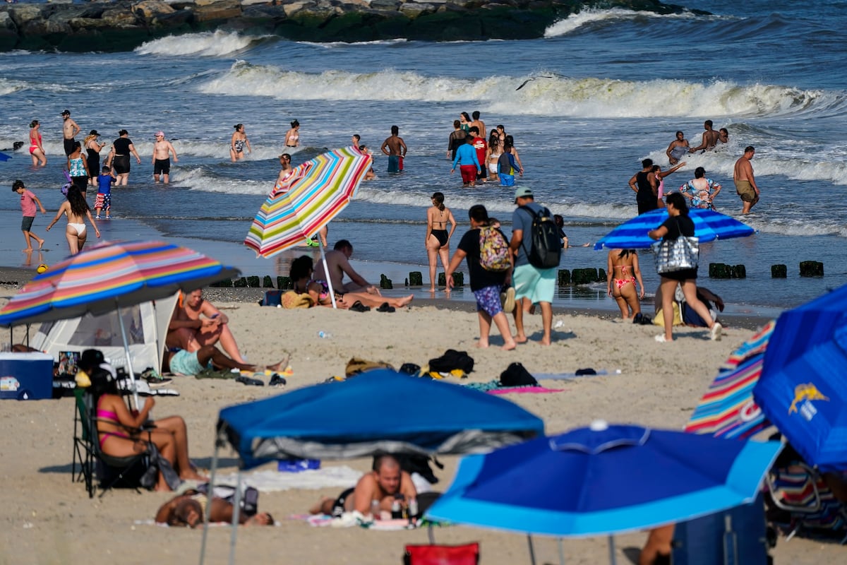 Rockaway Beach: El primer ataque de un tiburón en 70 años obliga a ...