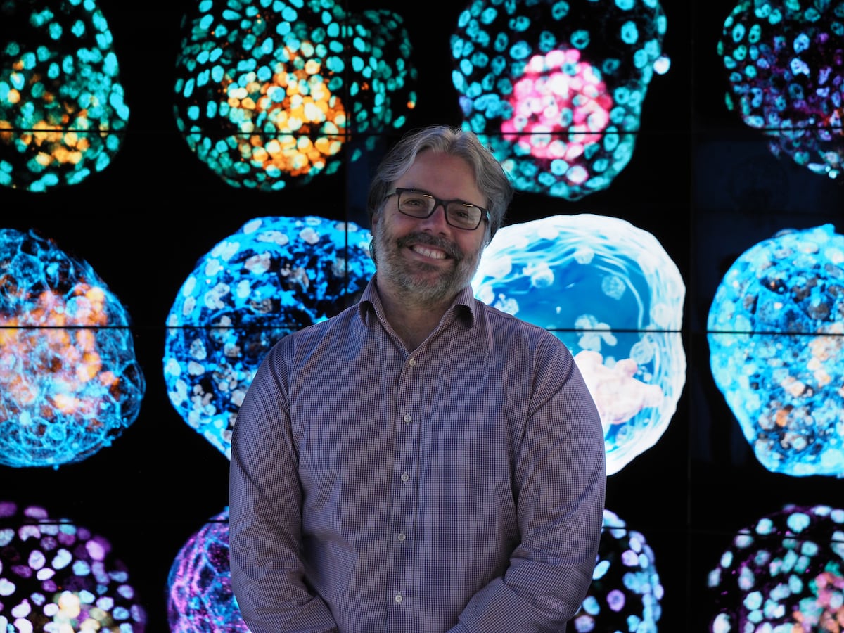 José Polo: Human pseudo-embryos created from skin cells present ethical ...