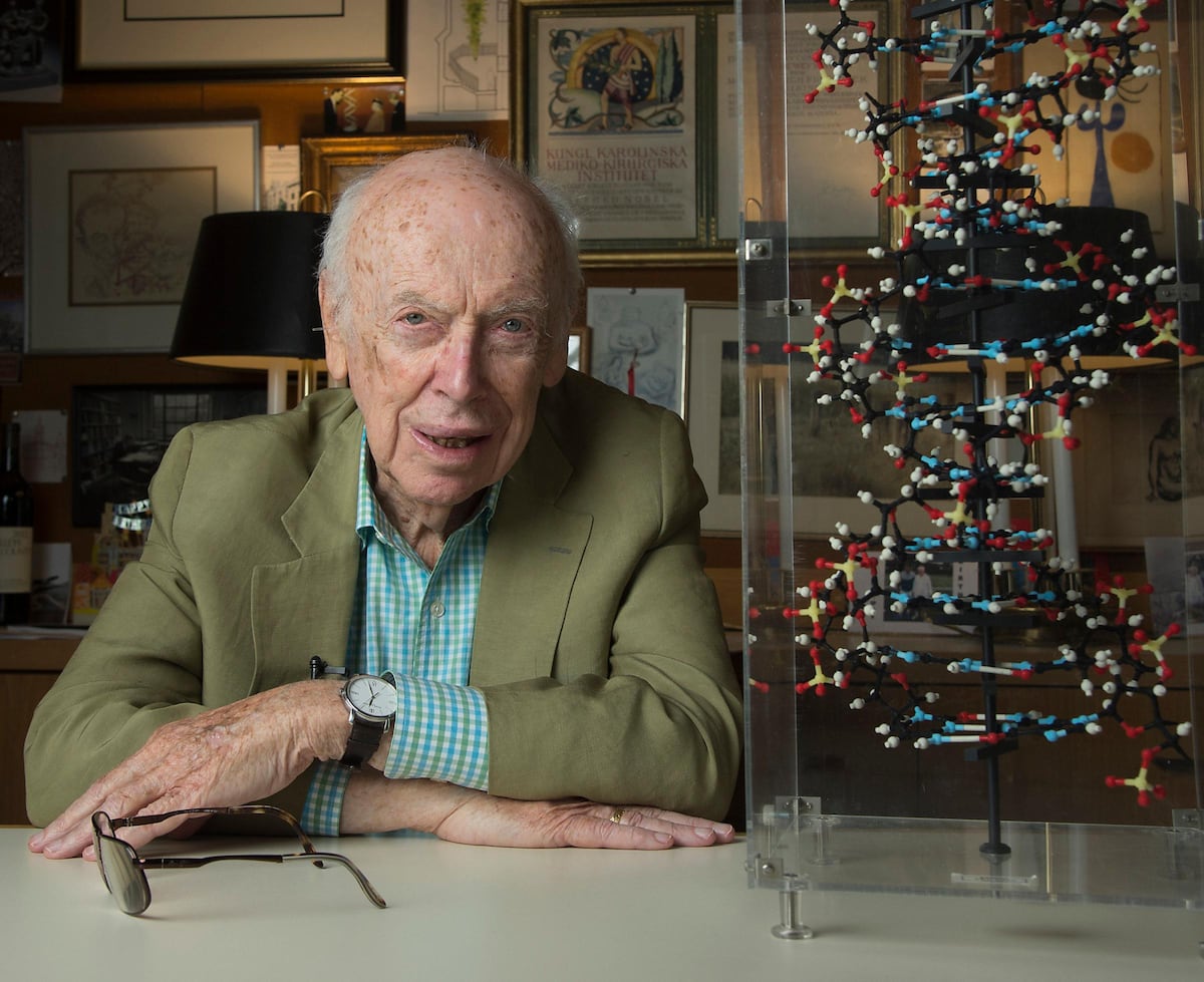 Muere James Watson, descubridor de la enigmática estructura del ADN, a ...