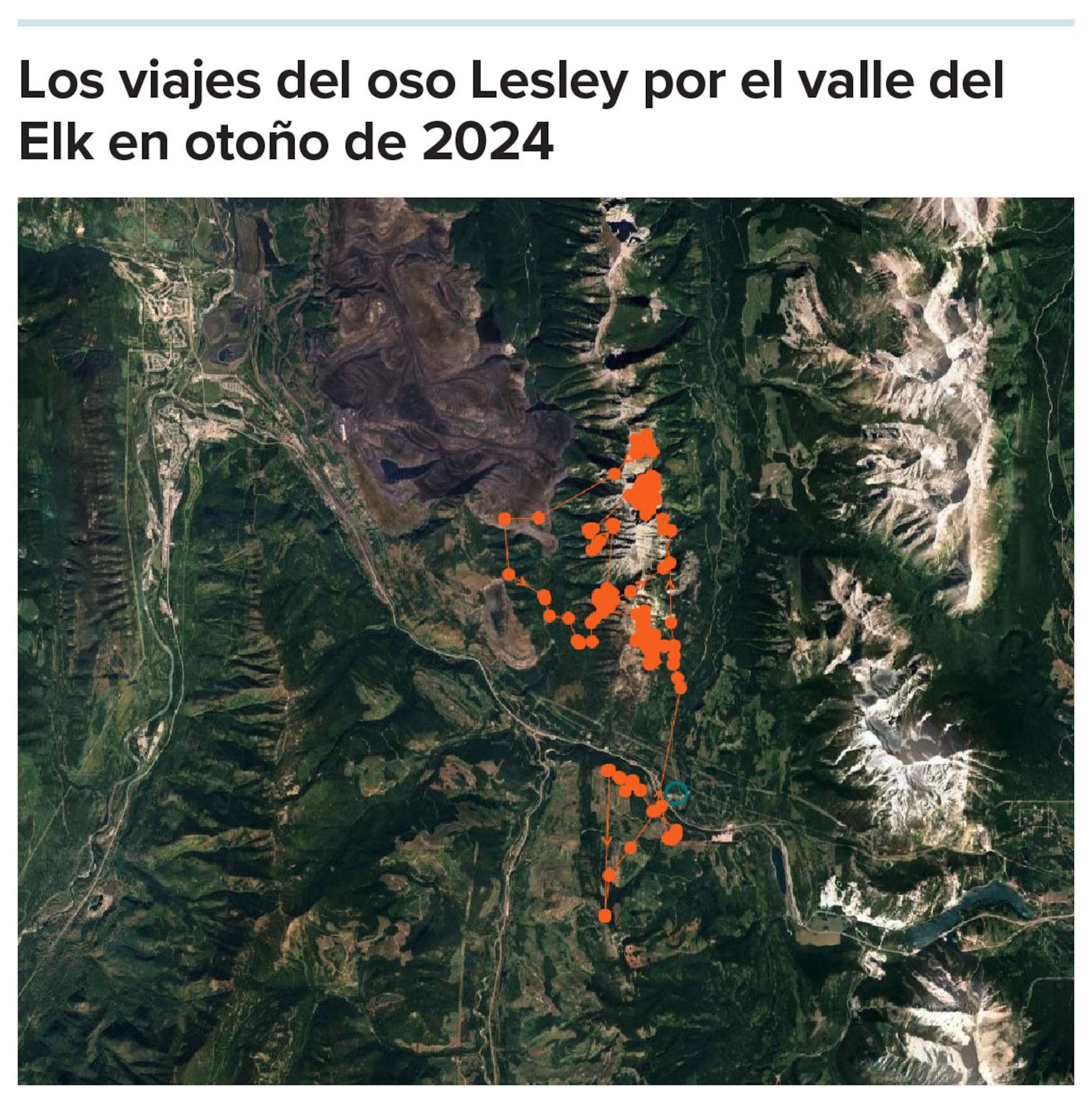 Cómo llevarse bien con los osos ‘grizzly’ | EL PAÍS US