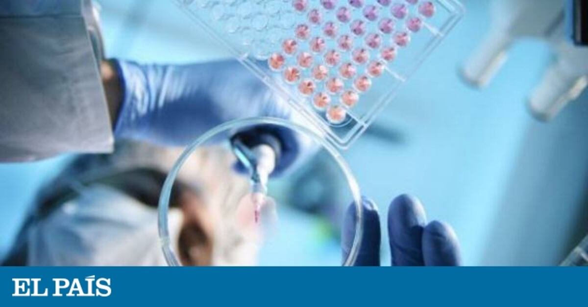 “Rejuvenecer nuestras células puede hacerlas más proclives al cáncer ...
