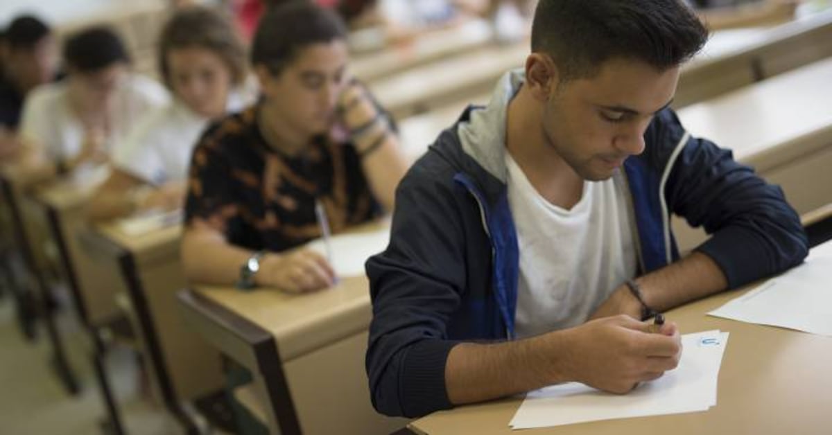 Invierte en educación y (posiblemente) ganarás más | Economía | EL PAÍS