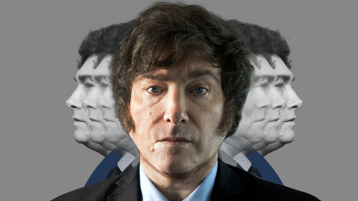 Milei, un año en guerra contra el Estado | EL PAÍS Argentina