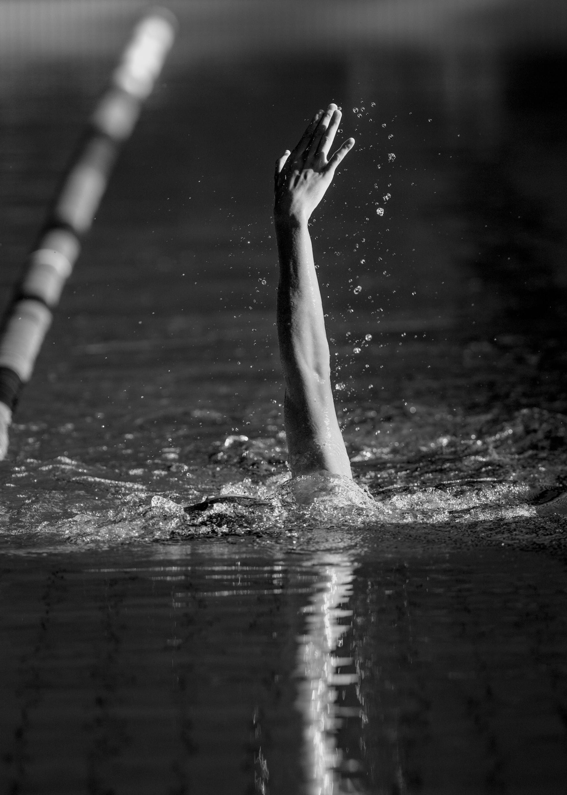 A visit with David Popovici, the world’s fastest swimmer | Sports | EL ...