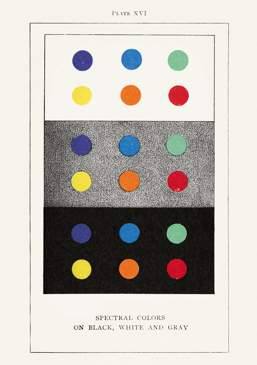Alexandra Loske, la mujer que saca los colores al mundo del arte | EL ...