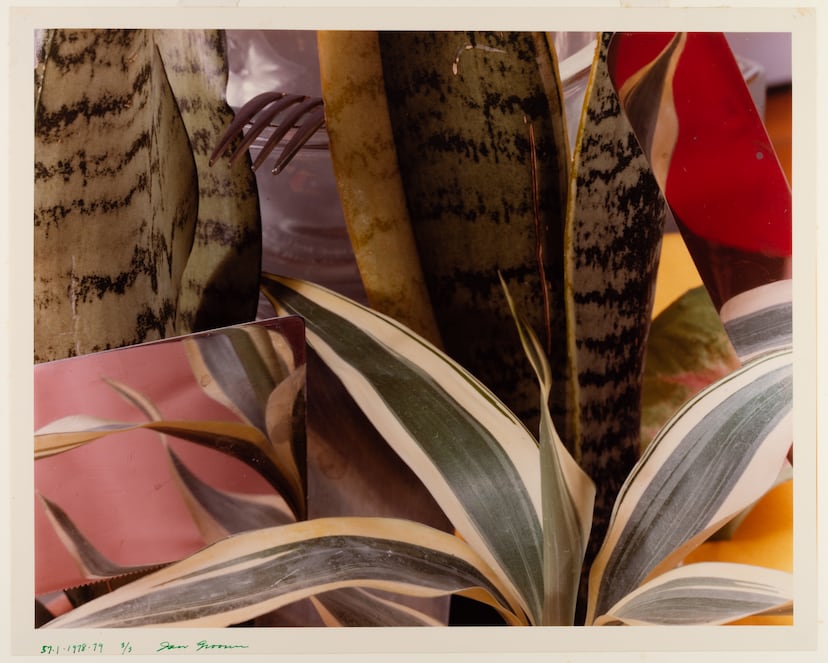 Jan Groover, the photographer who discovered the metaphysics of kitchen ...