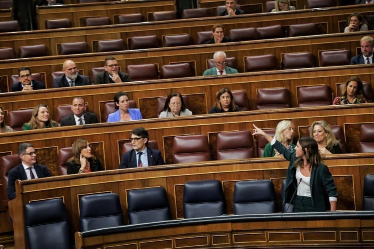 Amanda Mauri: Voy a seguir molestando | Opinión | EL PAÍS