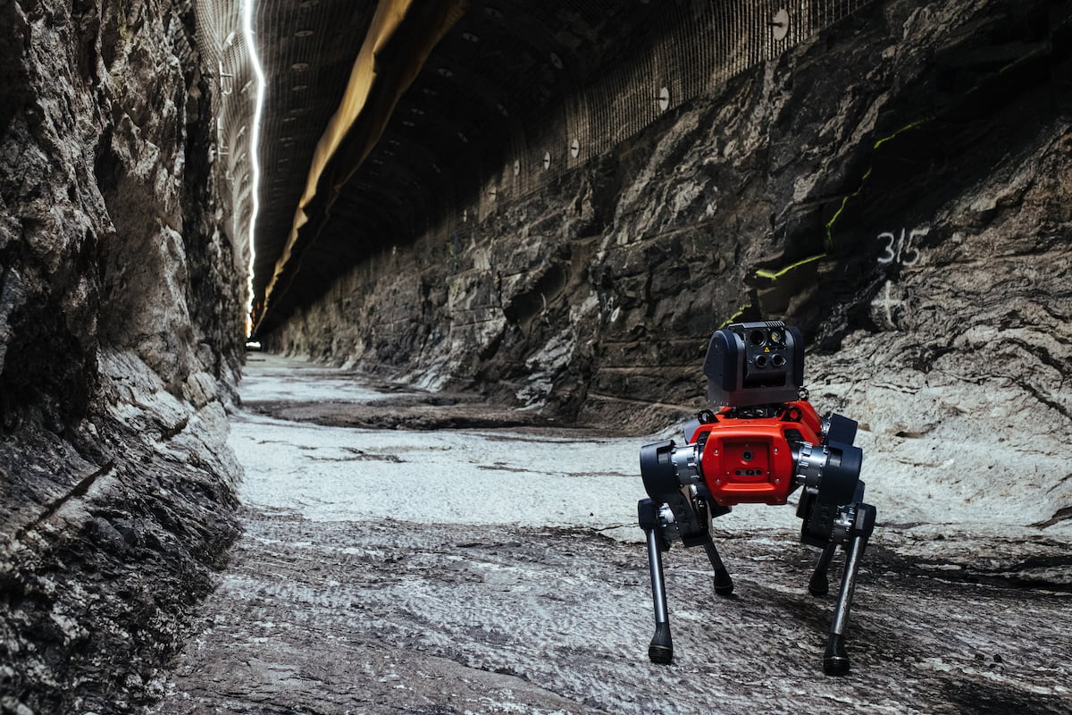 Meet ANYmal, the four-legged robot that could substitute humans in ...