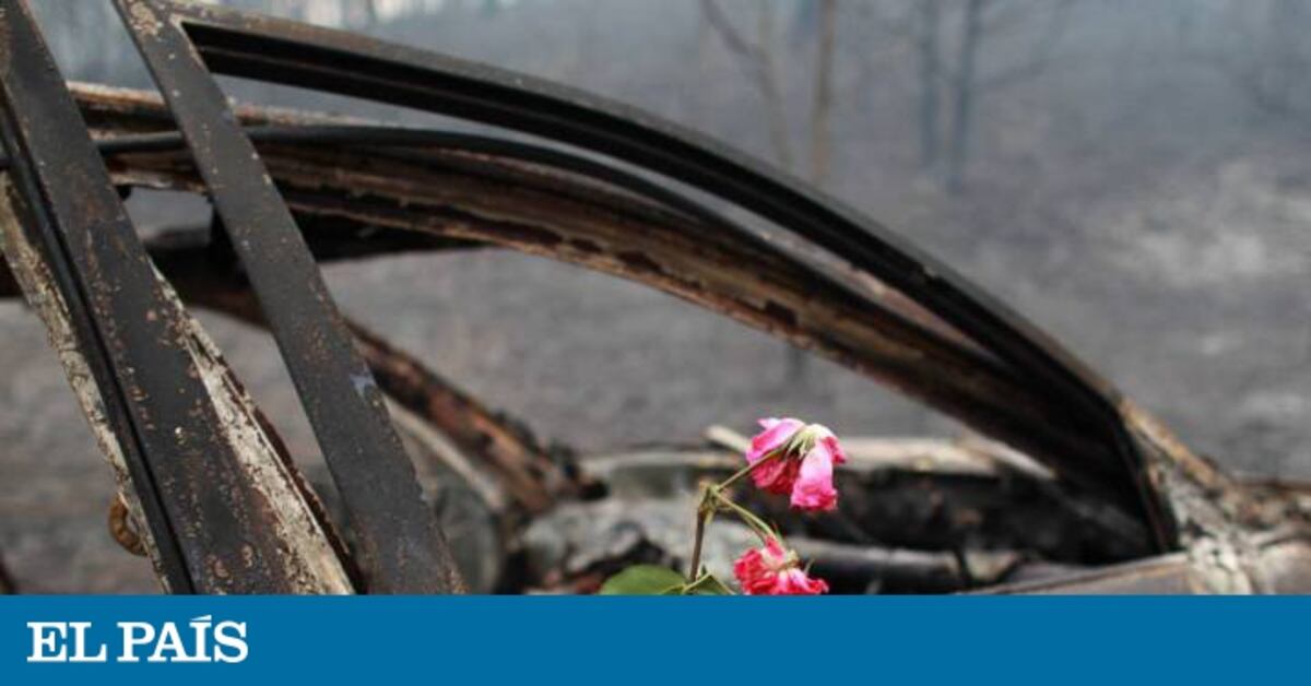 Las cinco noticias clave del 20 de junio | Noticias de actualidad | EL PAÍS