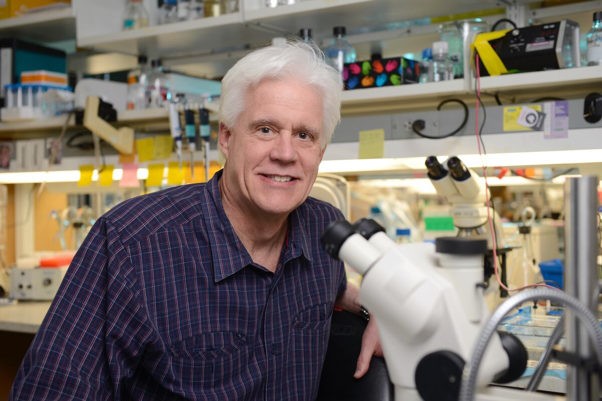Scientists create genetic ‘pen’ that corrects common heart conditions ...