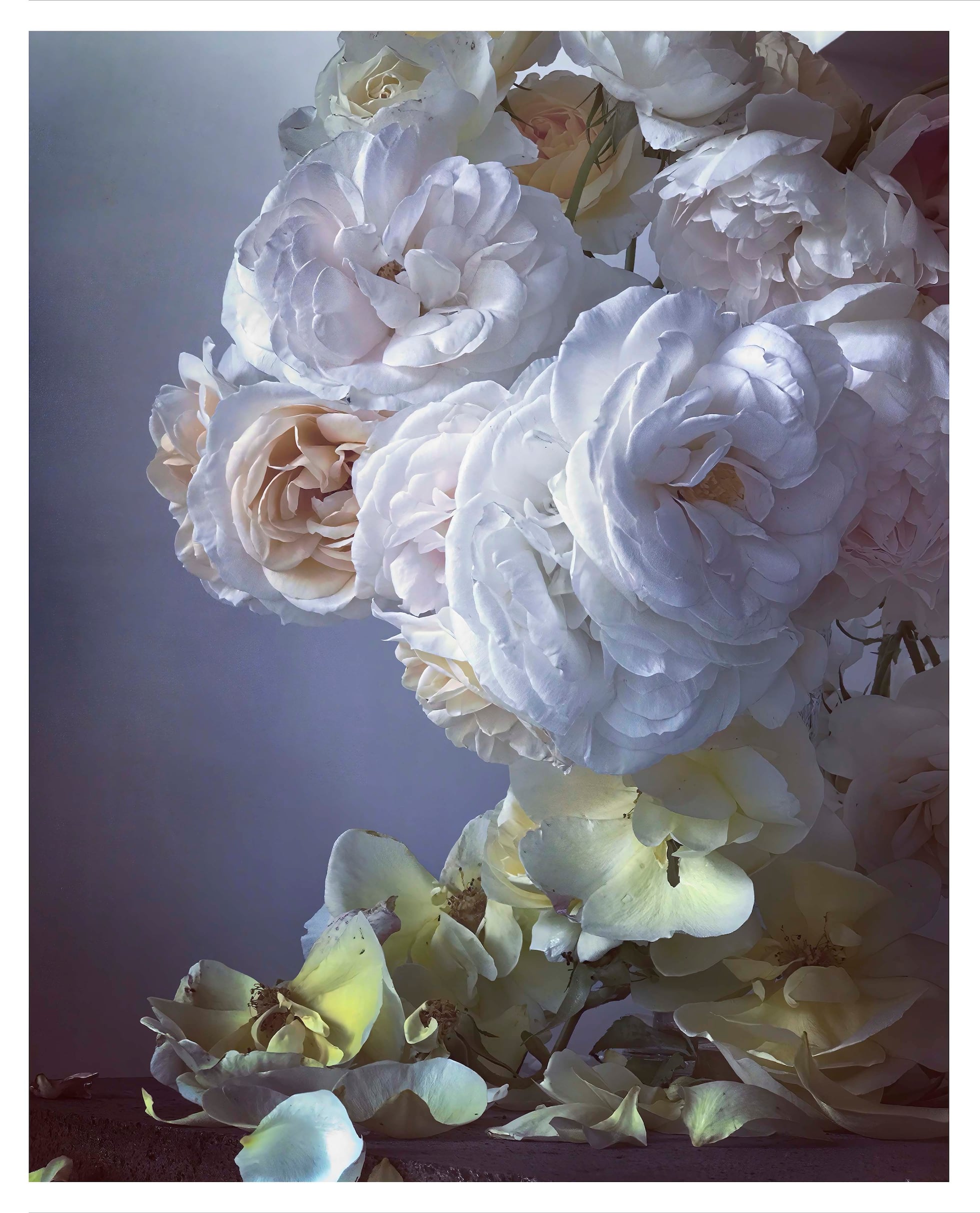 Nick Knight: “Hoy a los fotógrafos se les pide demasiado. No es solo la ...