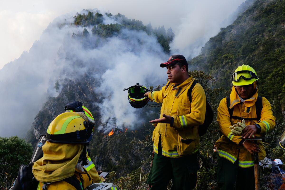 Los incendios forestales iluminan la precariedad en la que trabajan los ...