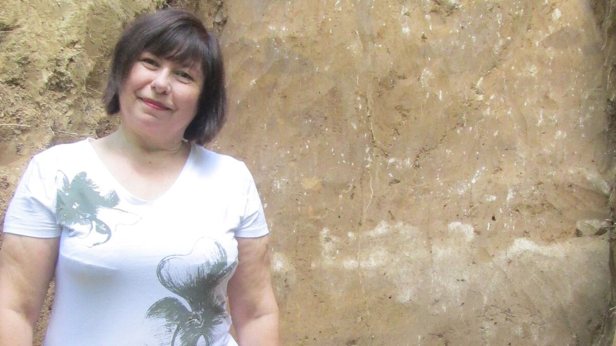 Natalia Gerasimenko: The scientist trying to save unique fossils on the ...