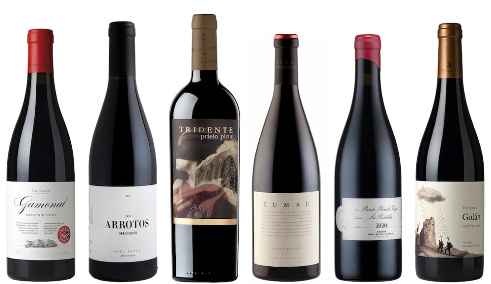 Seis poderosos vinos tintos de la singular prieto picudo | Beber ...