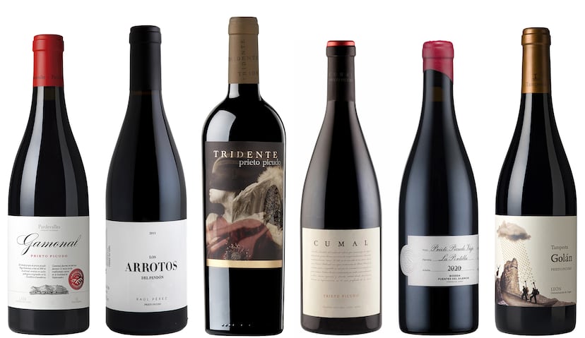 Seis poderosos vinos tintos de la singular prieto picudo | Beber ...