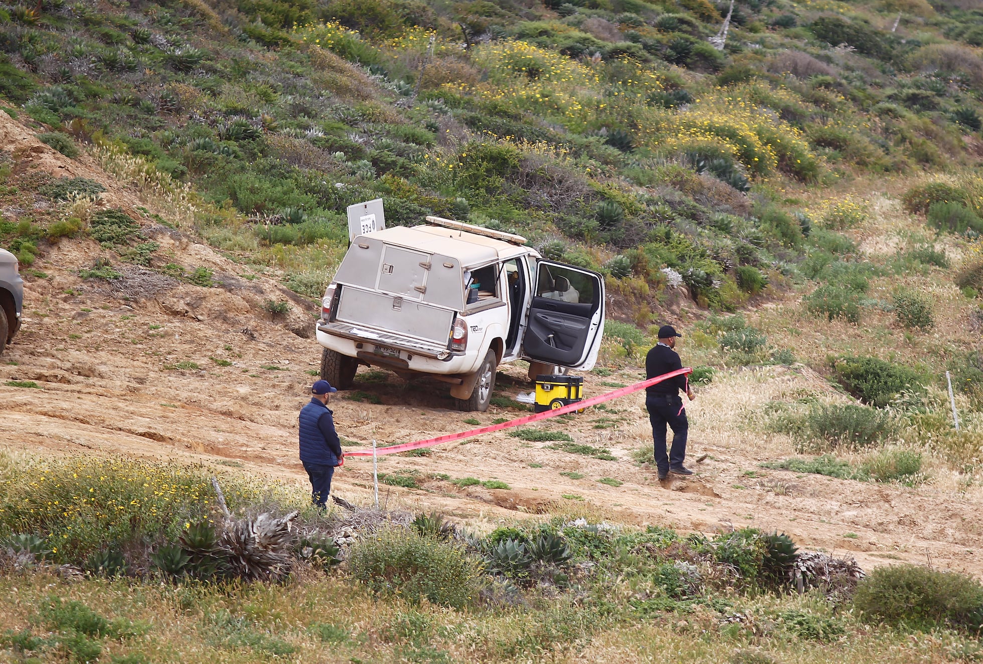 The murder of surfers Jake, Callum and Jack: The latest crime that’s ...