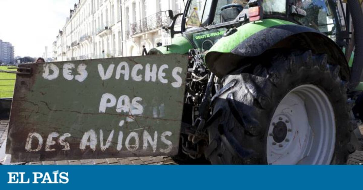 Volare, uoo (pero menos, uooo) | Alterconsumismo | Planeta Futuro | EL PAÍS