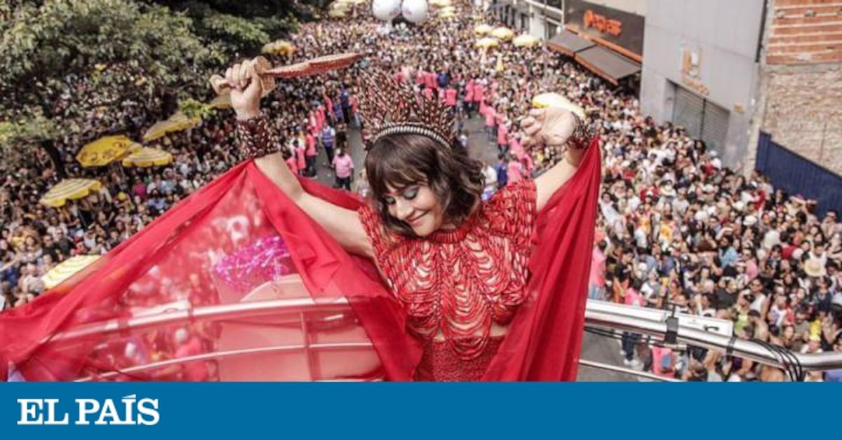 Quase 4 milhões de pessoas no pré-carnaval de SP apontam novo recorde ...