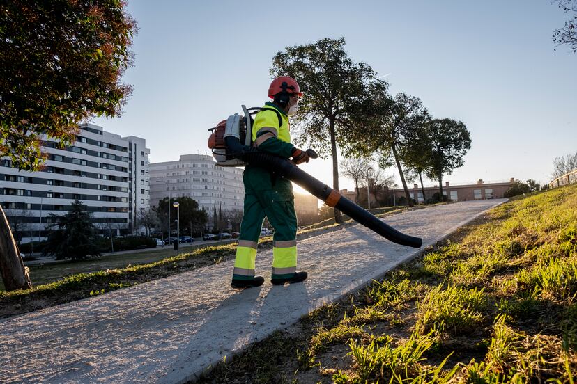 Trabajo y discapacidad, una asignatura pendiente | Formación | Economía | EL PAÍS