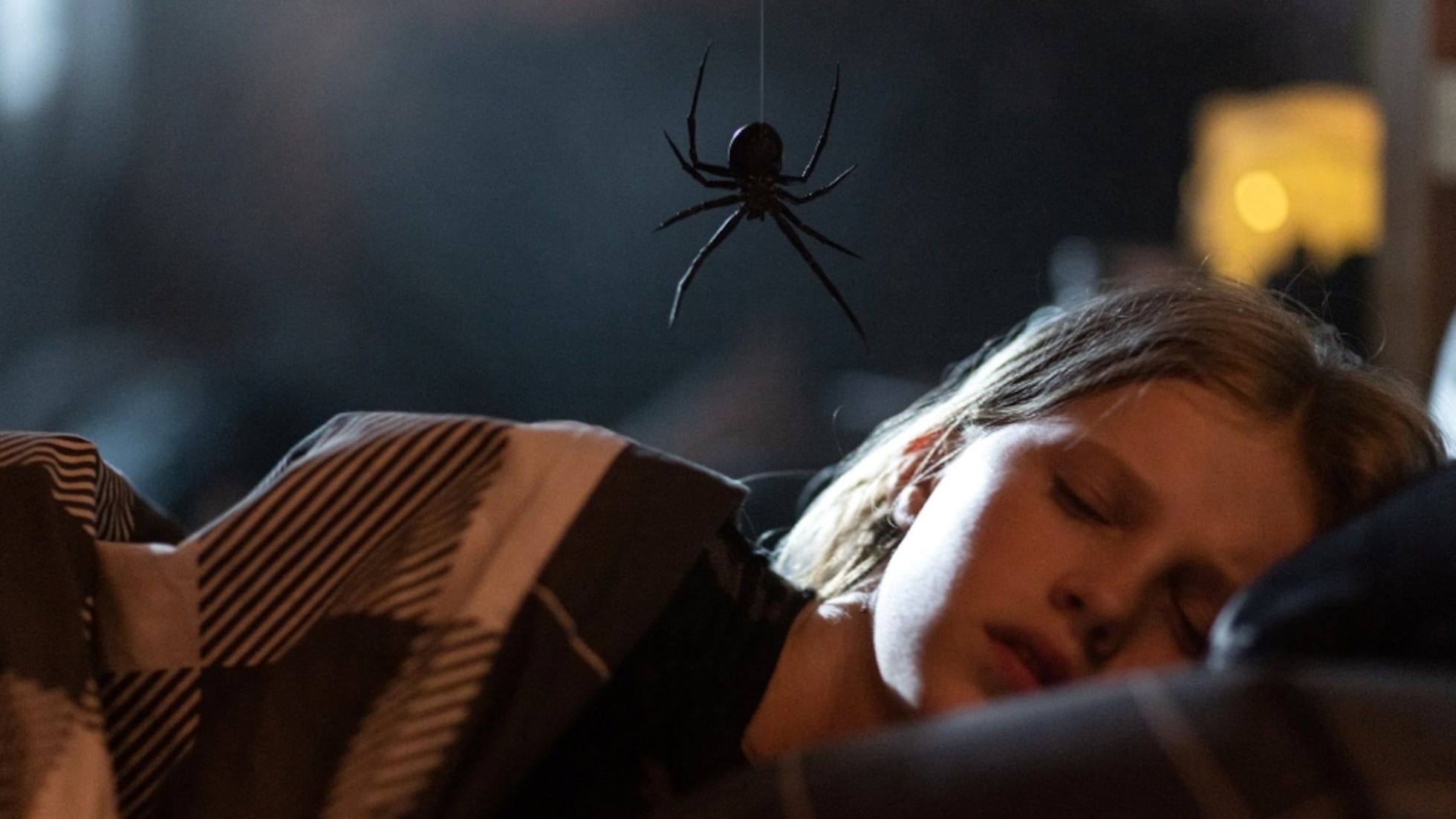‘Eight legs is too many legs!’: Why spiders have reigned supreme in ...