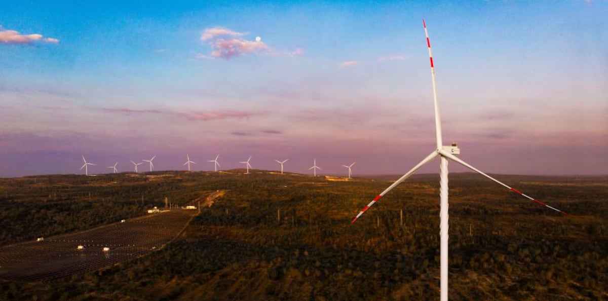 Acciona Energía pacta un nuevo estatus con The Blue Circle para ...