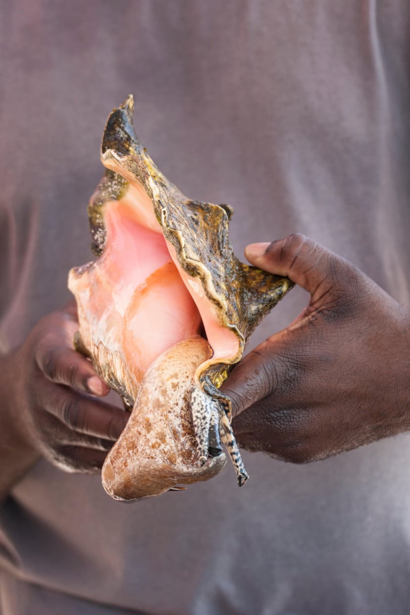 Islas Turcas y Caicos: así es el paraíso en la tierra | Guía El Viajero ...