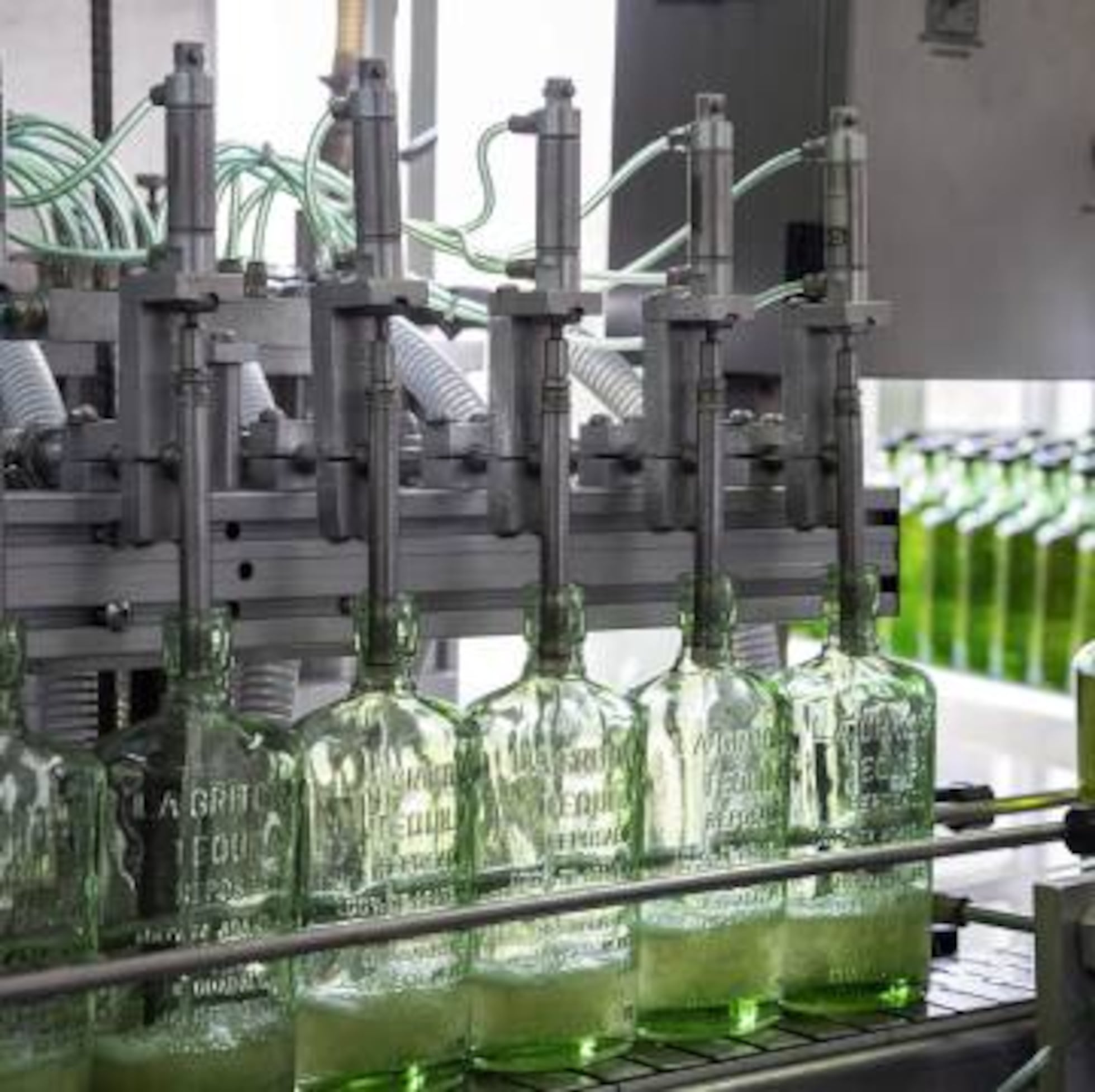 La reina del tequila | EL PAÍS Semanal | EL PAÍS