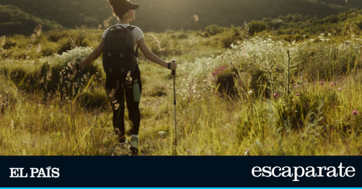 Ligero, impermeable y de secado rápido: el pantalón de senderismo para mujer que triunfará en ...
