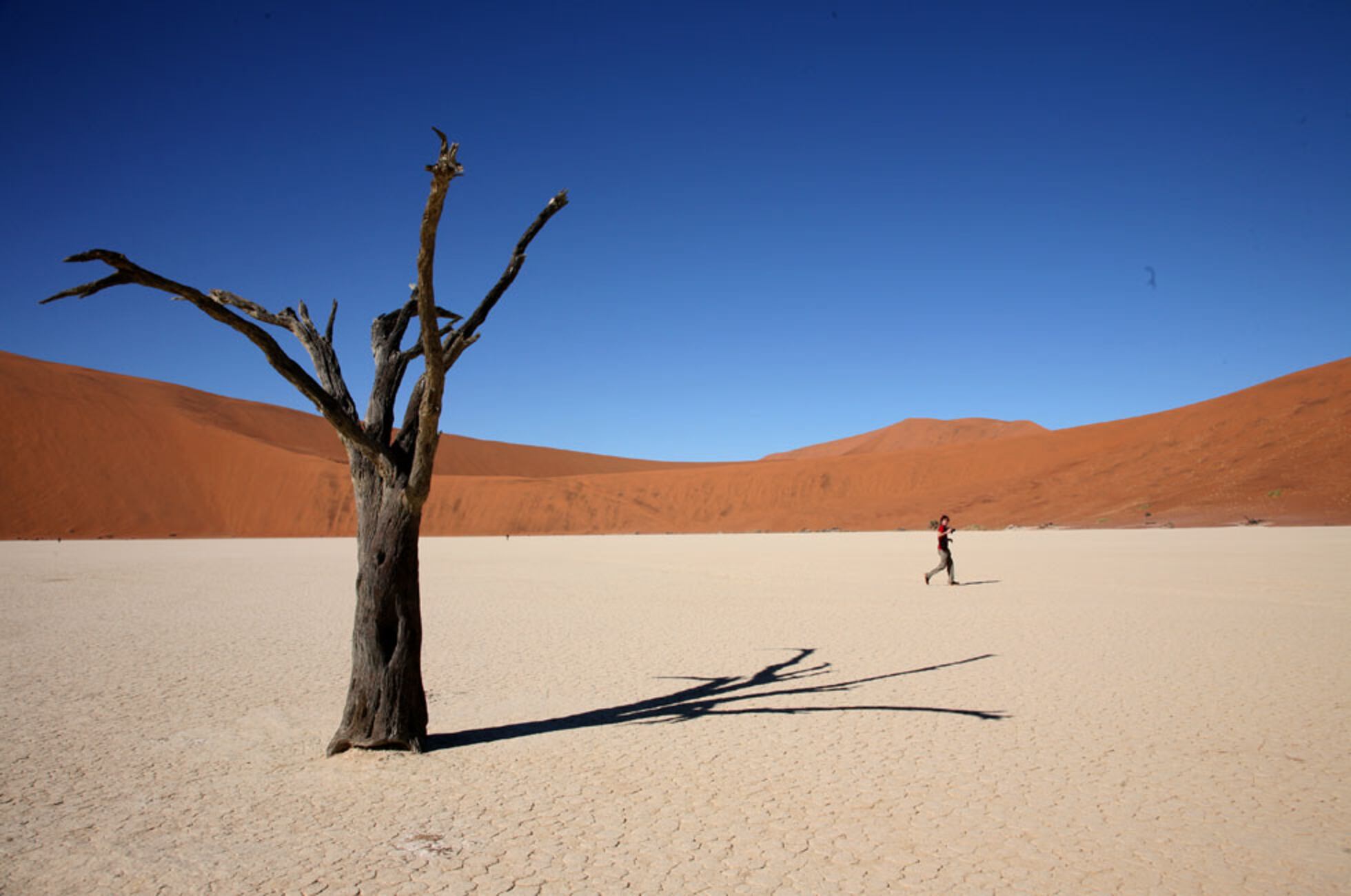 Namibia, dunas gigantes | Fotos | El Viajero | EL PAÍS