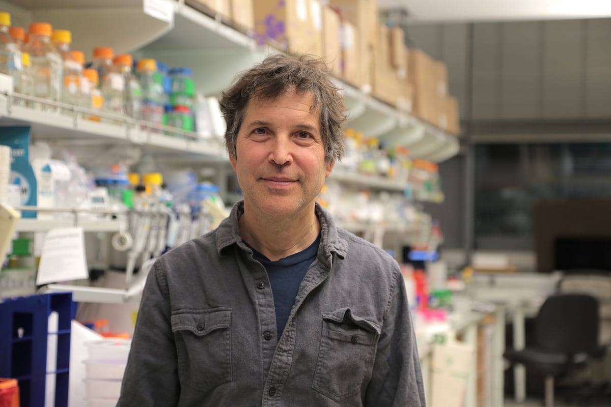 David Baker, bioquímico: “Hemos creado una tecnología que nos lleva más allá de las ...