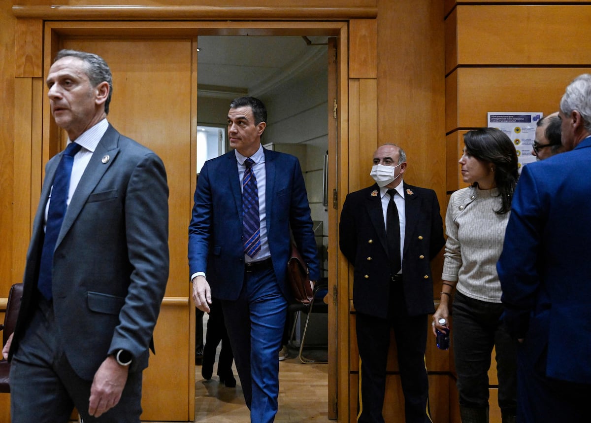 Sánchez vuelve a las primarias | España | EL PAÍS