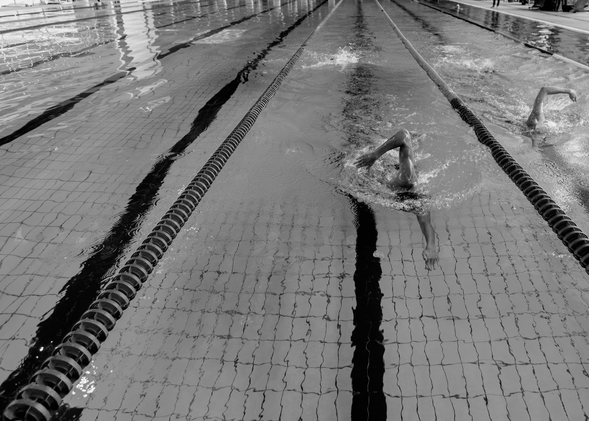 A visit with David Popovici, the world’s fastest swimmer | Sports | EL ...