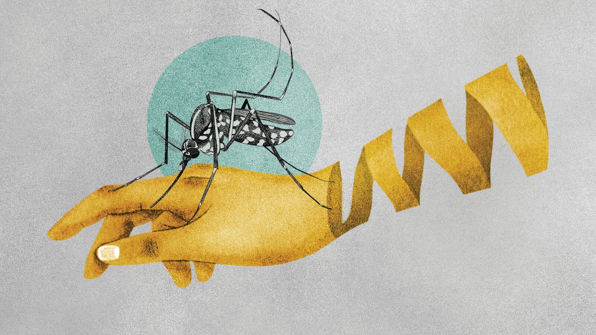 As temperatures rise, mosquitoes are also on the move. Scientists worry ...