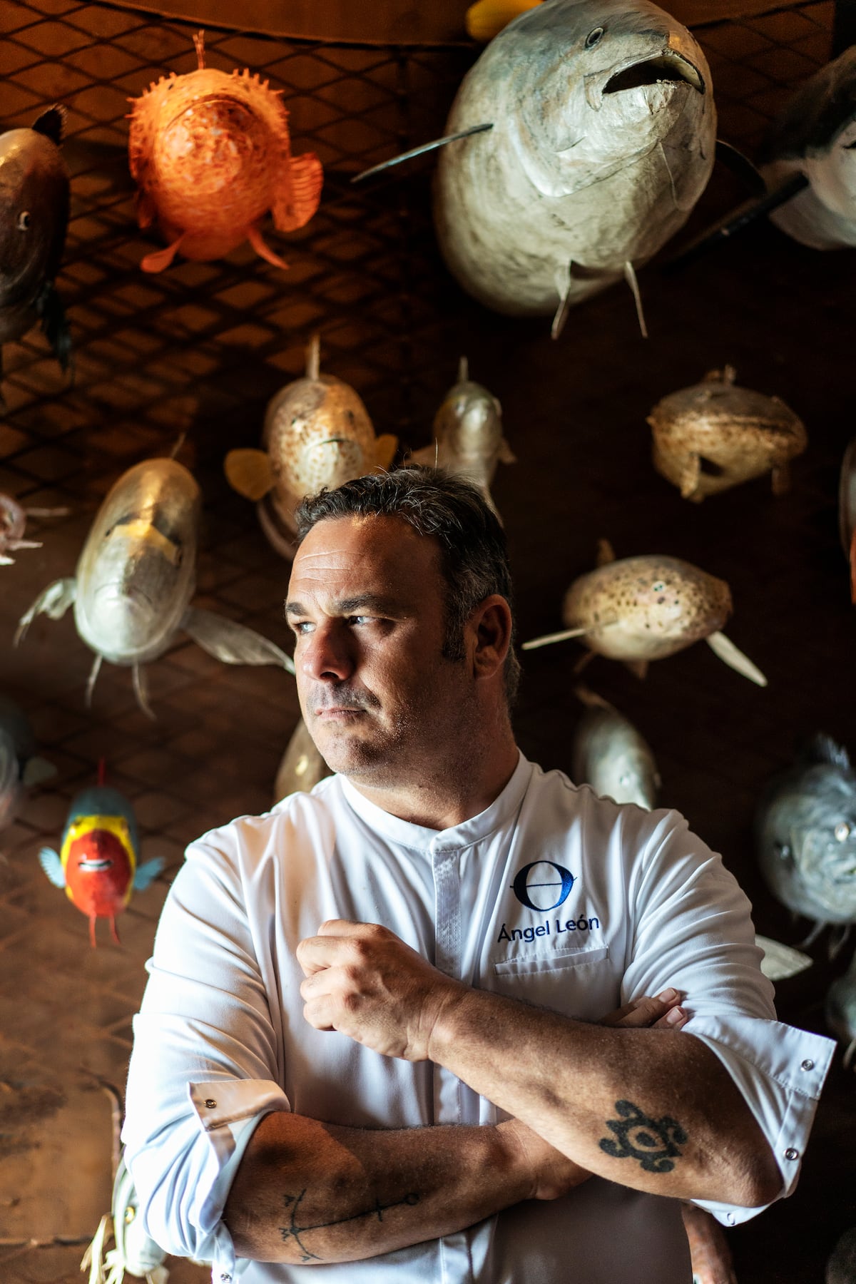 Ángel León, el chef del mar: “Mi sueño es un centro de investigaciones ...