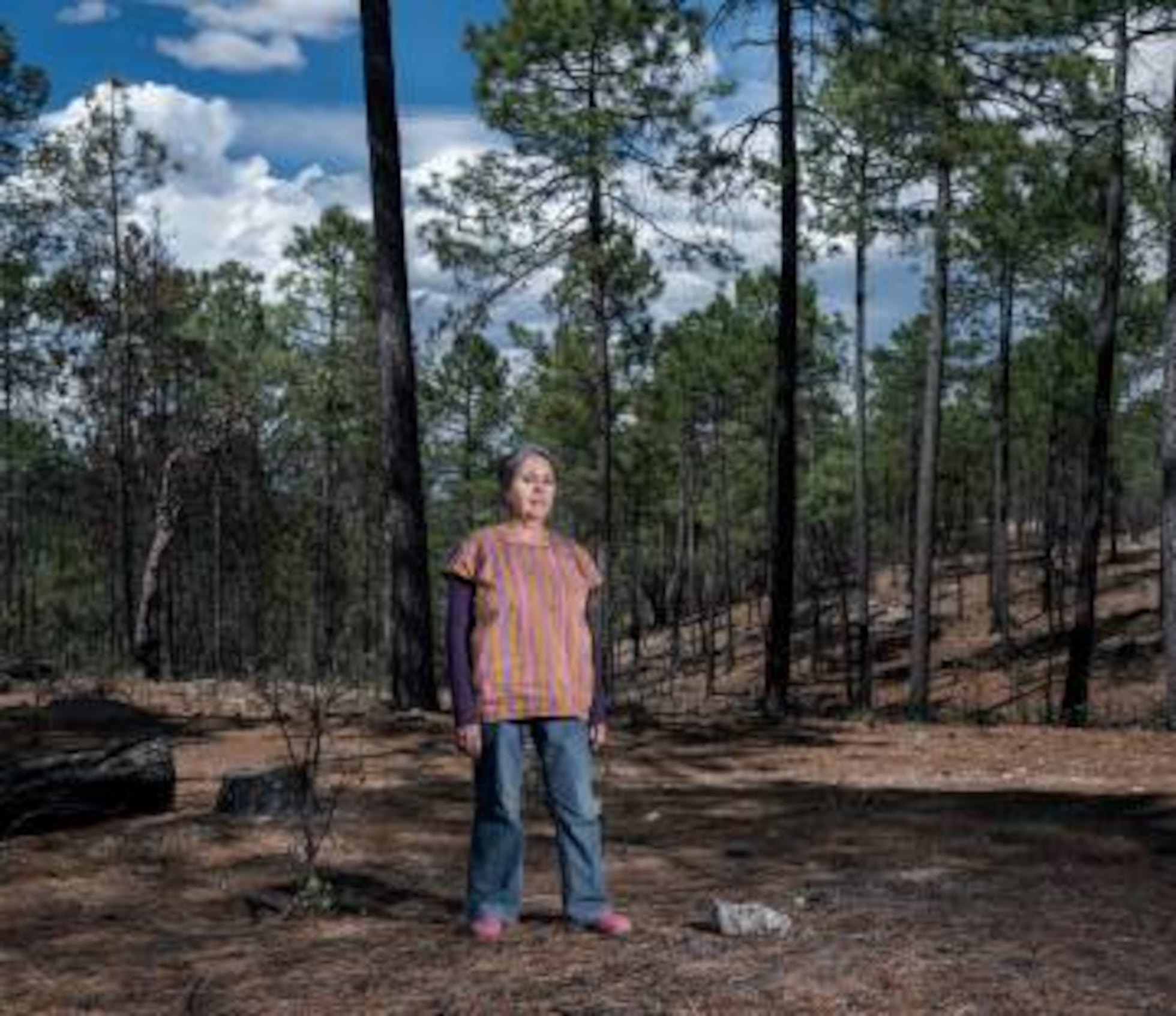 México se suma a la lista negra en el asesinato de ecologistas | México ...