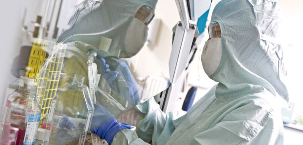 La española TiGenix vuelve a abordar su salto al Nasdaq | Empresas ...