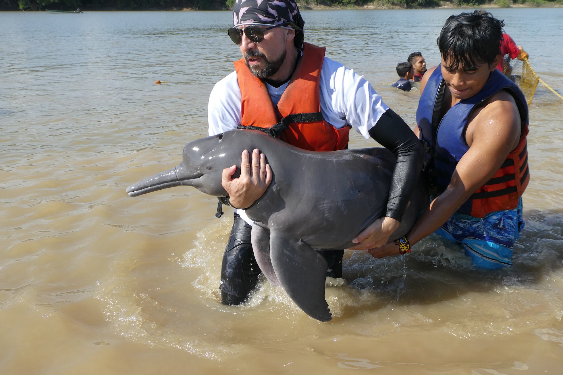 Fernando Trujillo, el protector de los delfines rosados del Amazonas ...