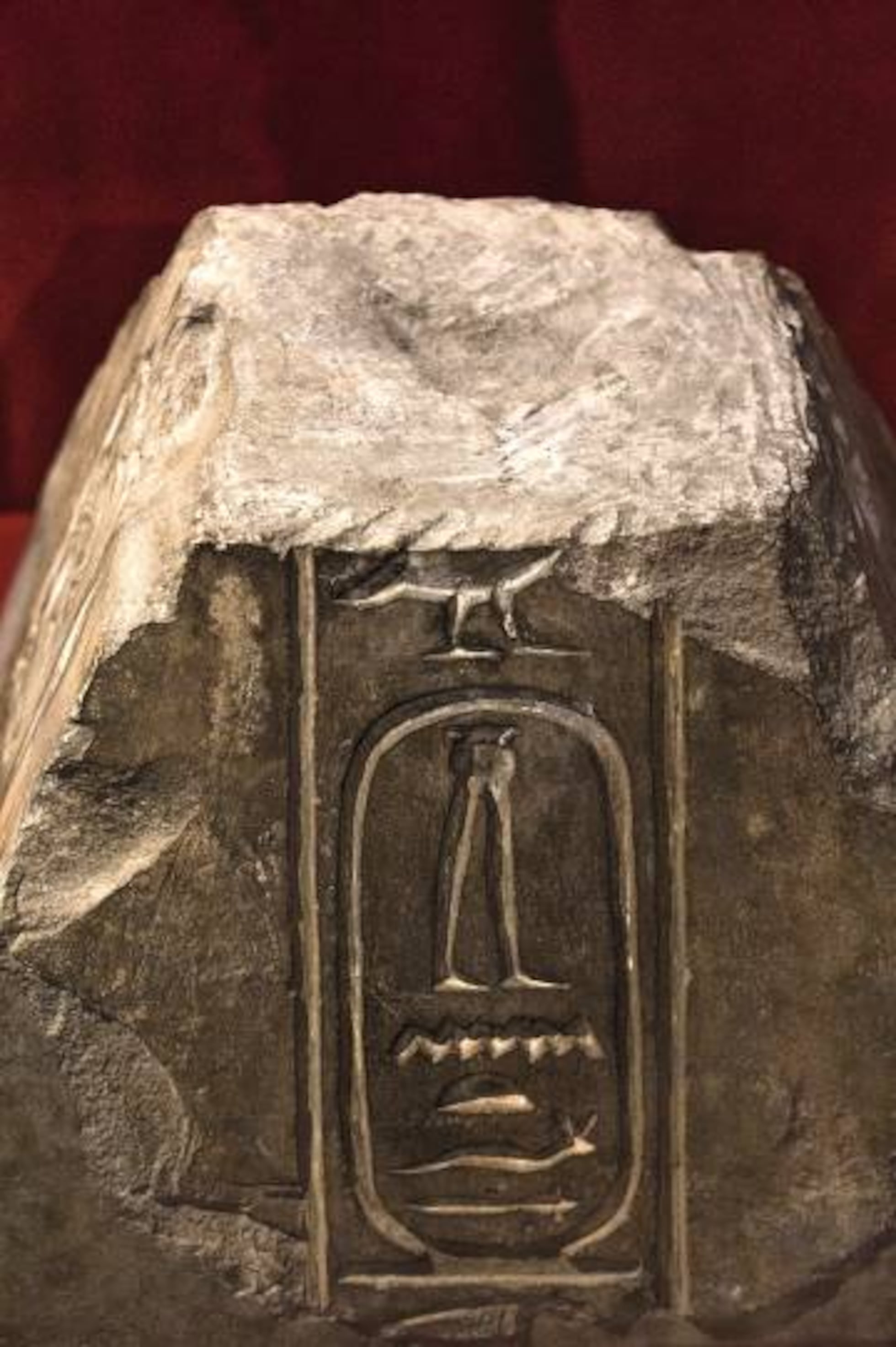 Un cocodrilo sagrado en el sótano del British Museum | EL PAÍS Semanal ...