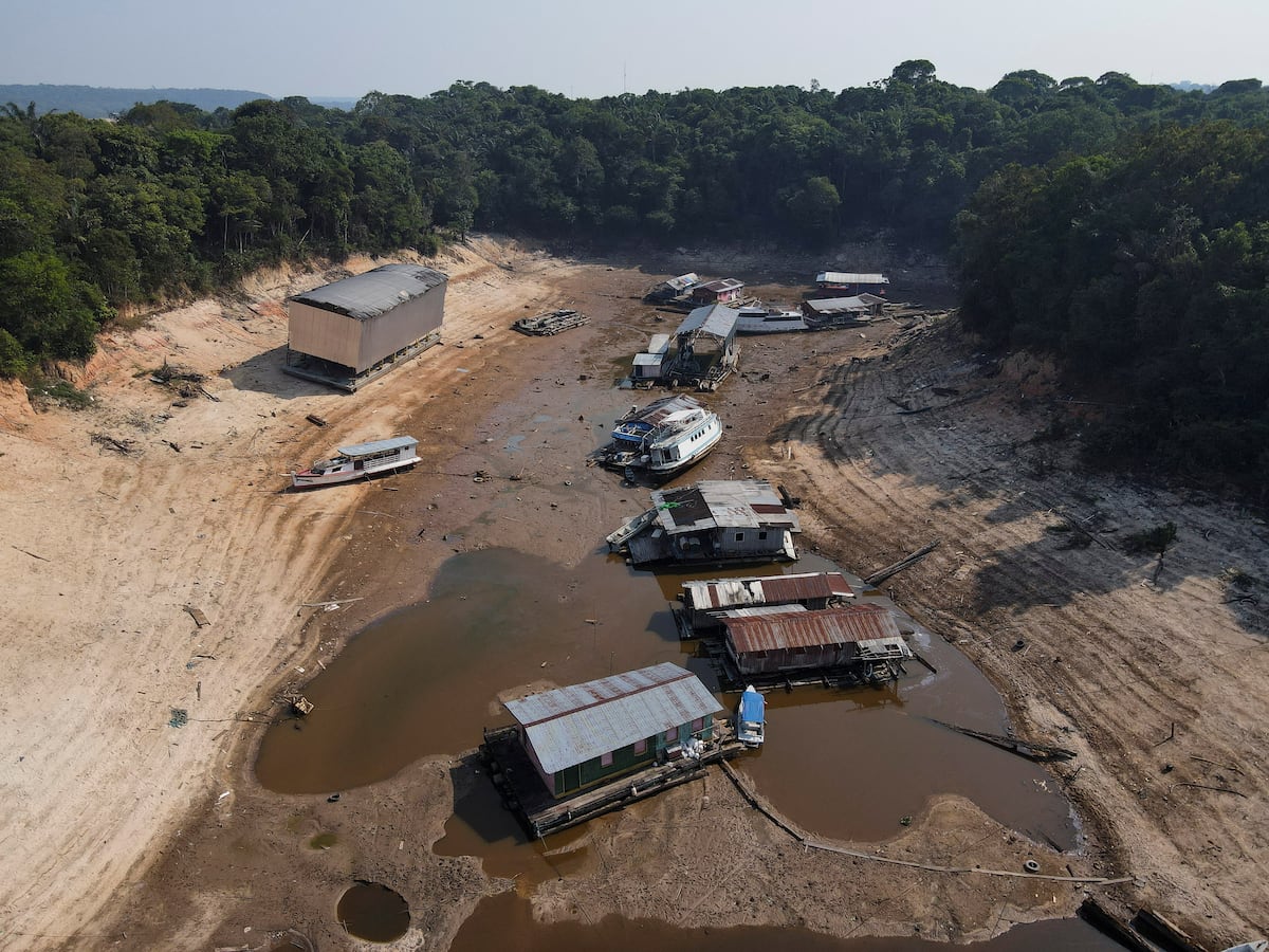 The Amazon — and our lives — are going up in smoke | Climate | EL PAÍS ...