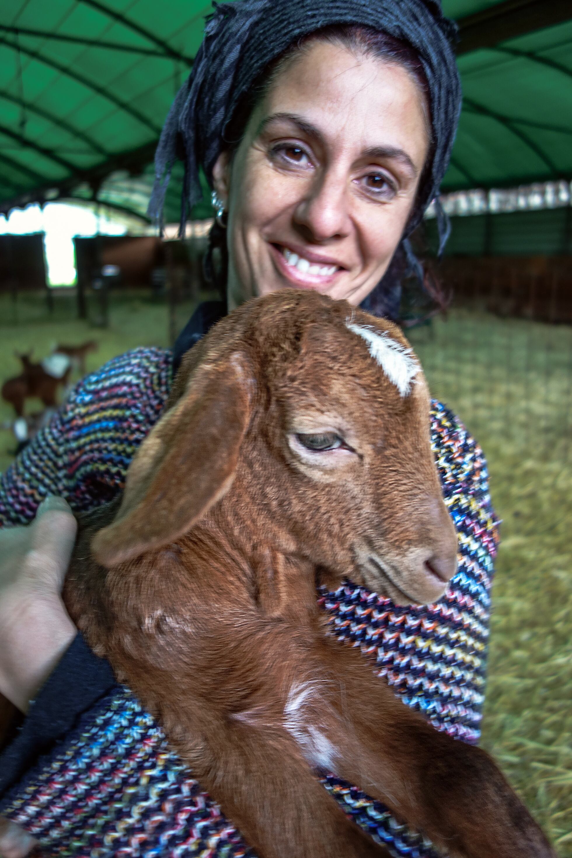 10 lugares de España redondos, como sus quesos | Guía El Viajero 2024 | EL PAÍS
