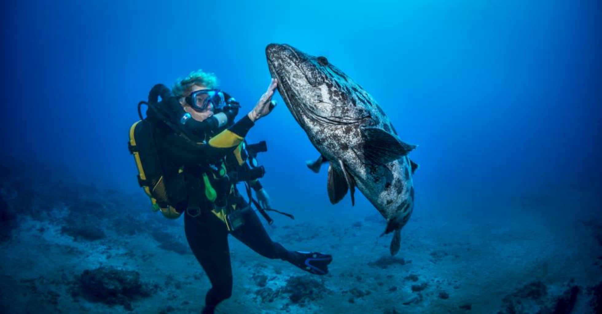 Los monstruos viven en el agua | El viajero astuto | El Viajero | EL PAÍS